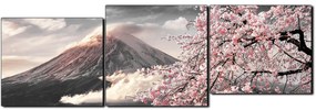 Obraz na plátně - Hora Fuji a třešňové květiny na jaře- panoráma 5266QE (150x50 cm)