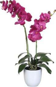 XXXLutz UMĚLÁ KVĚTINA 66 cm - Umělé květiny - 0045360288