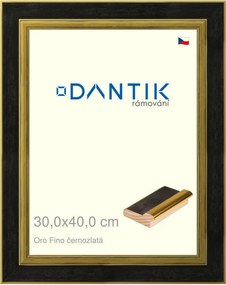 DANTIK rámeček 30x40 | Oro Fino černozlatá (Plexi Čiré)