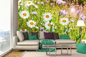 DIMEX | Samolepicí vliesová fototapeta na zeď Divoké květiny v létě MA-5-1345 | 375 x 250 cm | zelená, bílá, fialová, žlutá