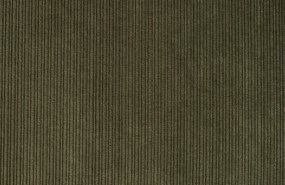 White Label Zelená manšestrová dvoumístná rozkládací pohovka WLL JOPIE 110 cm