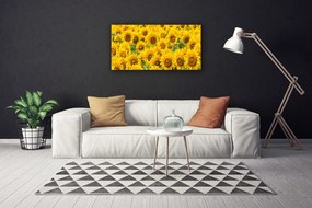 Obraz na plátně Slunecznice Rostlina 125x50 cm