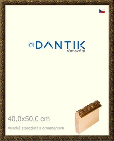 DANTIK rámeček 40x50 | Vysoká starozlatá s ornamentem (Plexi Čiré)