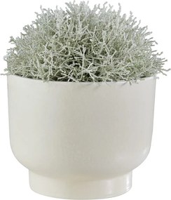 PLANT BOWL Květináč 26 cm - bílá