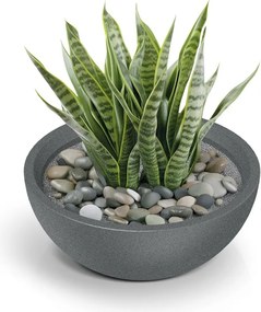 Plastový květináč MOLIOS BOWLS pískový