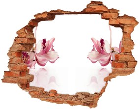 Wallmuralia Samolepící nálepka na zeď Orchidej 90x70 cm