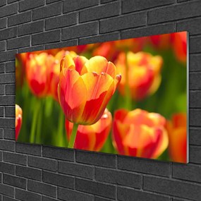 Obraz na skle Tulipány Květiny Rostlina 140x70 cm