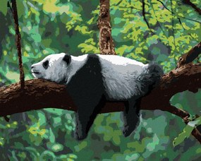 zuty malování podle čísel - panda ležící na stromě, 80x100 cm, vypnuté plátno na rám