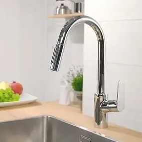 Hansgrohe - Dřezová baterie s výsuvnou sprškou, chrom