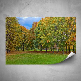 Plakát - Podzim v parku (60x40 cm) - PopyDesign