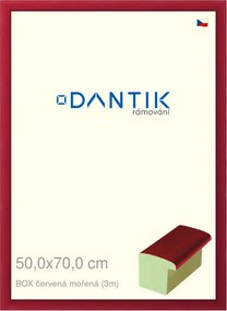 DANTIK rámeček 50x70 | BOX červená mořená (Plexi Čiré)