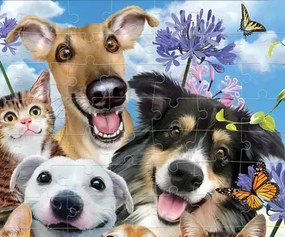 PRIME 3D Puzzle Pejsci a kočičky selfie 3D / 100 dílků / 31 x 23 cm