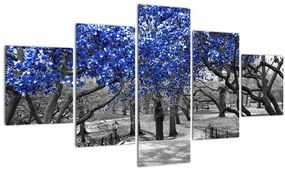 Obraz - Modré stromy, Central Park, New York (125x70 cm)