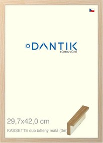DANTIK rámeček 29,7x42 | KASSETTE dub bělený malá (Plexi Čiré)