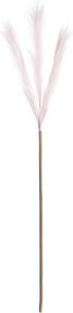 Pampová tráva 100cm light pink