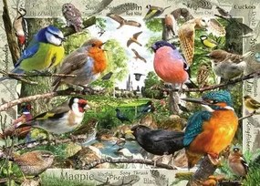 Ravensburger Naši opeření přátelé / 1000 dílků / od 14 let
