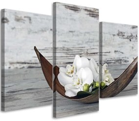 Gario Obraz na plátně Bílé květy orchidejí - 3 dílný Rozměry: 60 x 40 cm