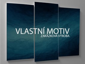 Vlastní motiv obraz Rozměr: 90 x 60 cm