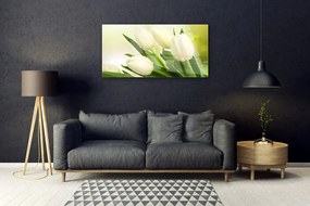 Obraz na skle Tulipány Květiny Rostlina 120x60 cm