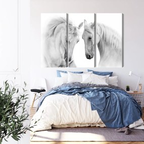 Vícedílný obraz Dva Koně Na Bílém Pozadí Nedostatek Nedostatek Plátno Canvas 150x100
