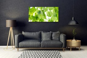 Obraz na skle Listy Příroda Rostlina 125x50 cm