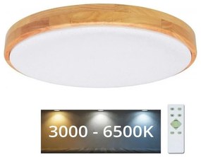 Ecolite | Ecolite WLD400-24W/LED/SD - LED Stmívatelné stropní svítidlo LENA LED/24W/230V | EC0142