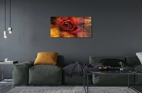Obraz na skle rose picture 100x50 cm