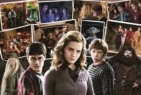 Trefl - Puzzle - Harry potter s přáteli / 160 dílků / 41 x 27.5 cm / v