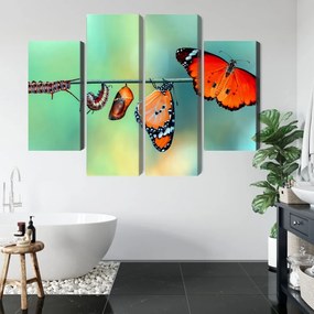 Vícedílný obraz Barevné Housenky A Motýli V Makro Měřítku Nedostatek Nedostatek Přírodní plátno 160x120