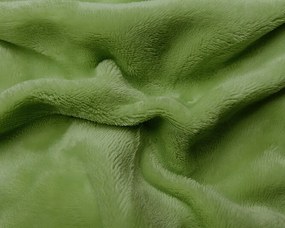 SLEEP WELL prostěradlo MIKROFLANEL SLEEP WELL 180x200cm, kiwi (zelená)