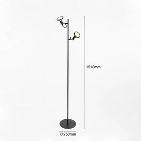 Stojací lampa Lindby Ilda, 2 světla, výška 151 cm, železo, CCT