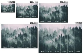 Fototapeta černobílá mlha nad lesem