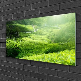 Obraz na skle Louka Příroda 120x60 cm