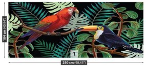 Fototapeta Ara Toucan 104x70