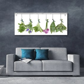 Plexisklo-obraz Sušené Byliny Listy Květiny 125x50 cm