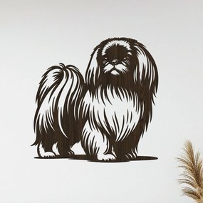 dřevo života Dřevěný obraz psa Pekingese Rozměry (cm): 60x58, Zvolte barvu dekoru: Wenge