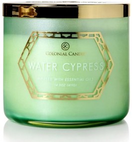 Colonial Candle svíčka Luxe Water Cypress, 411 g