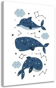Obraz na plátně Šťastná modrá velryba - 70x100 cm
