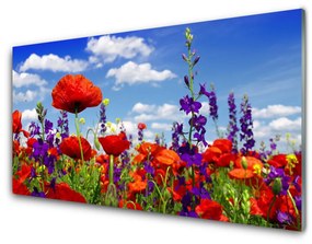 Obraz na skle Tulipány Rostlina 120x60 cm