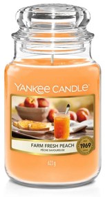 Yankee Candle - vonná svíčka Farm Fresh Peach (Čerstvá farmářská broskev) 623g