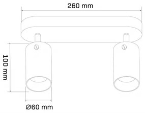 Bodové svítidlo SMOKY 2xGU10/10W/230V černá