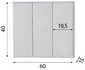 Olsen Spa Závěsná skříňka se zrcadlem TRIGA I, II Rozměr A - 60 cm, Rozměr B - 15 cm, Rozměr C - 40 cm - OLNPST6040