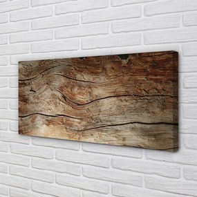 Obrazy na plátně Dřeva board 120x60 cm
