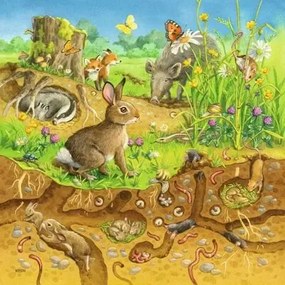 Ravensburger Zvířátka v přírodě / 3x49 dílků / od 5 let