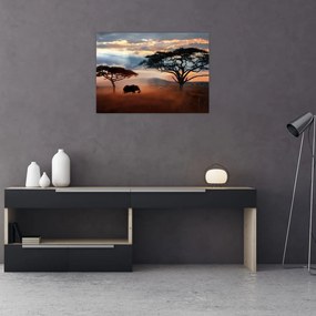 Obraz - Národní park Serengeti, Tanzánie, Afrika (70x50 cm)