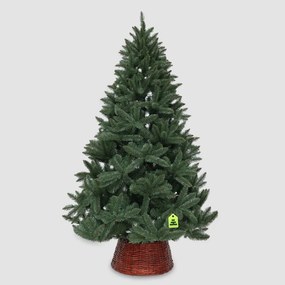 Smrk Kanadský 150 cm