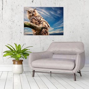 Skleněný obraz sovy (70x50 cm)