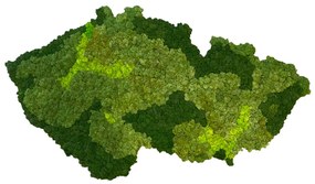 WOODILO Mapa z prémiového sobího mechu | 95 cm Barva podkladové desky: Bílá, Vyznačení místa ve dřevě (napevno): Ano: 1 město