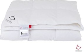 Letní přikrývka s péřovou výplní 200x140 cm Snow Queen – Ringsted Dun