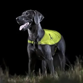 Tractive neonová reflexní vesta pro psy s kapsou pro GPS zelená - veli